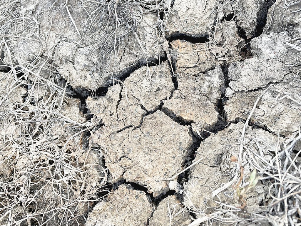 Rainfall could cause signs of salinity | GippslandFarmer
