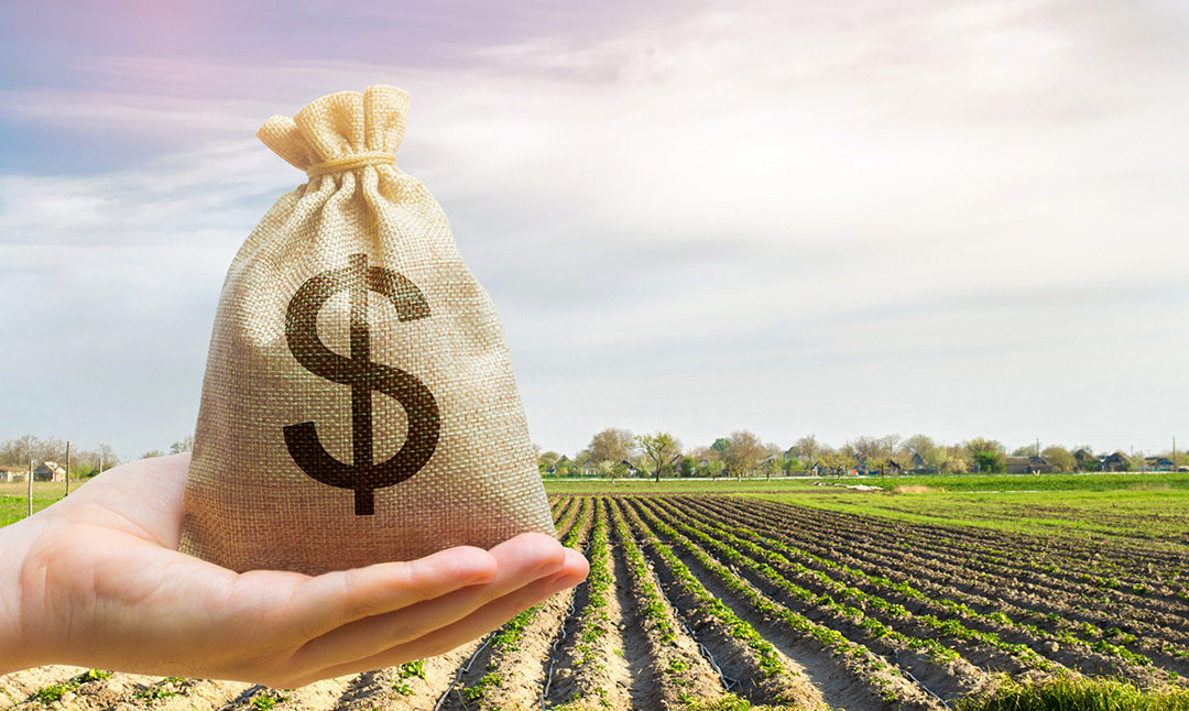 YFF ‘thumbs up’ for freeze on farm levy | GippslandFarmer